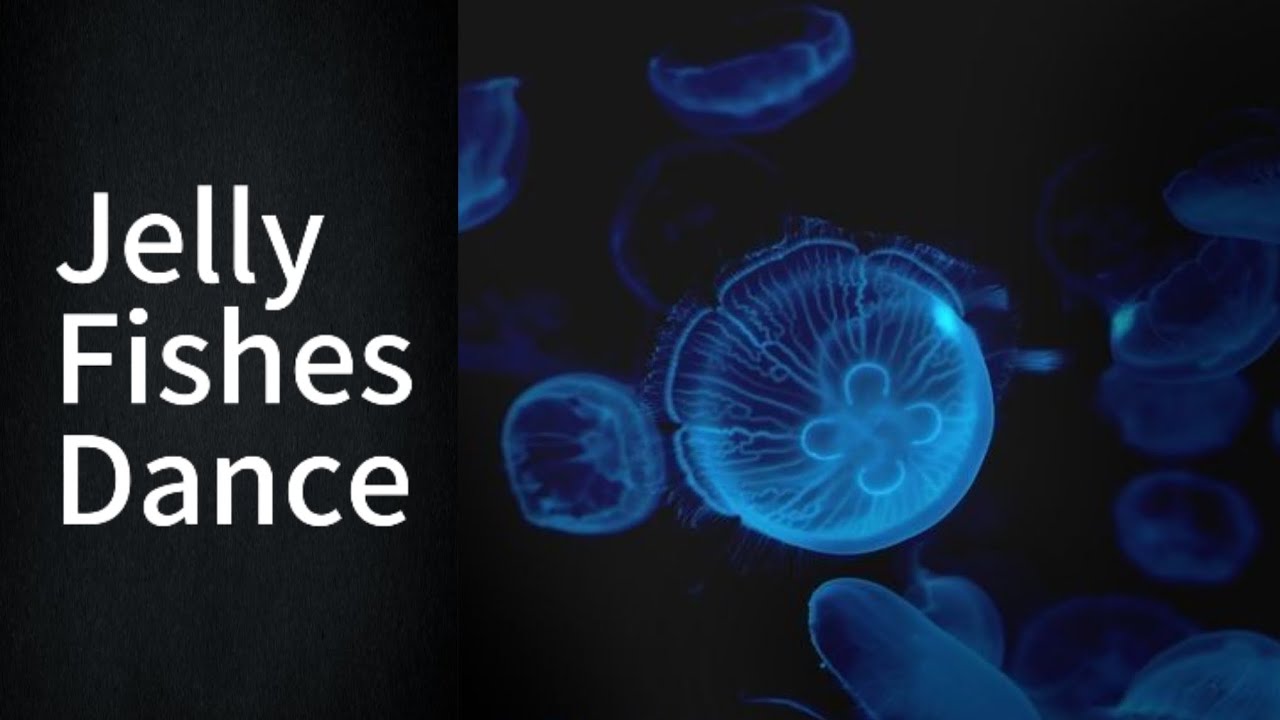 Jelly Fishes Dance || The Zoology Hub - YouTube