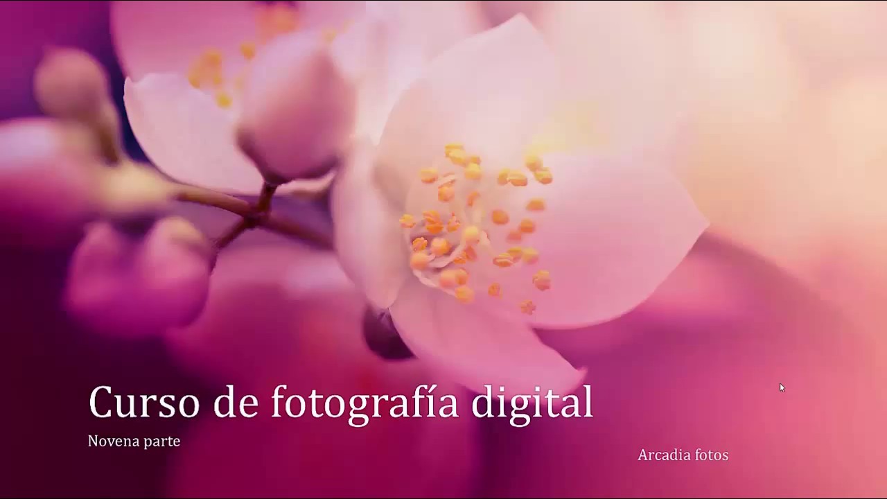 Curso de fotografia digital#9. Resumen exposción correcta - YouTube