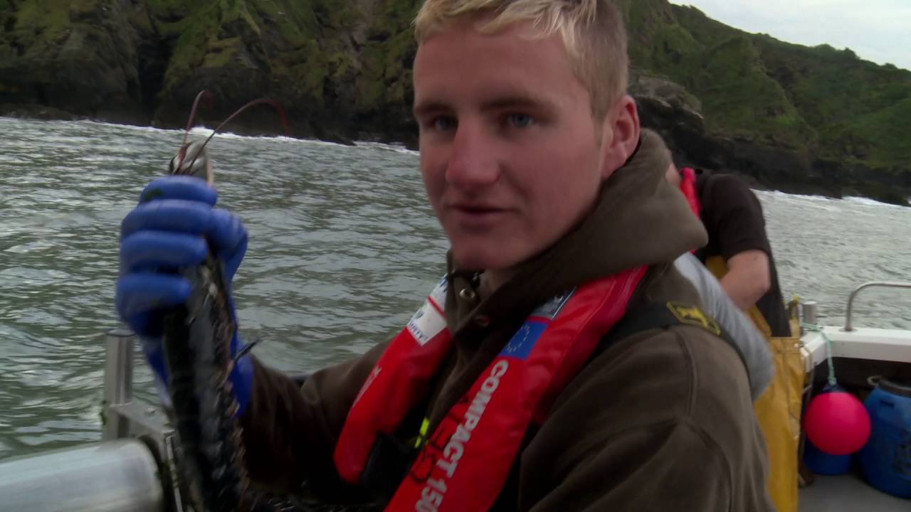 A Life in the Day of a Young Fisherman - YouTube