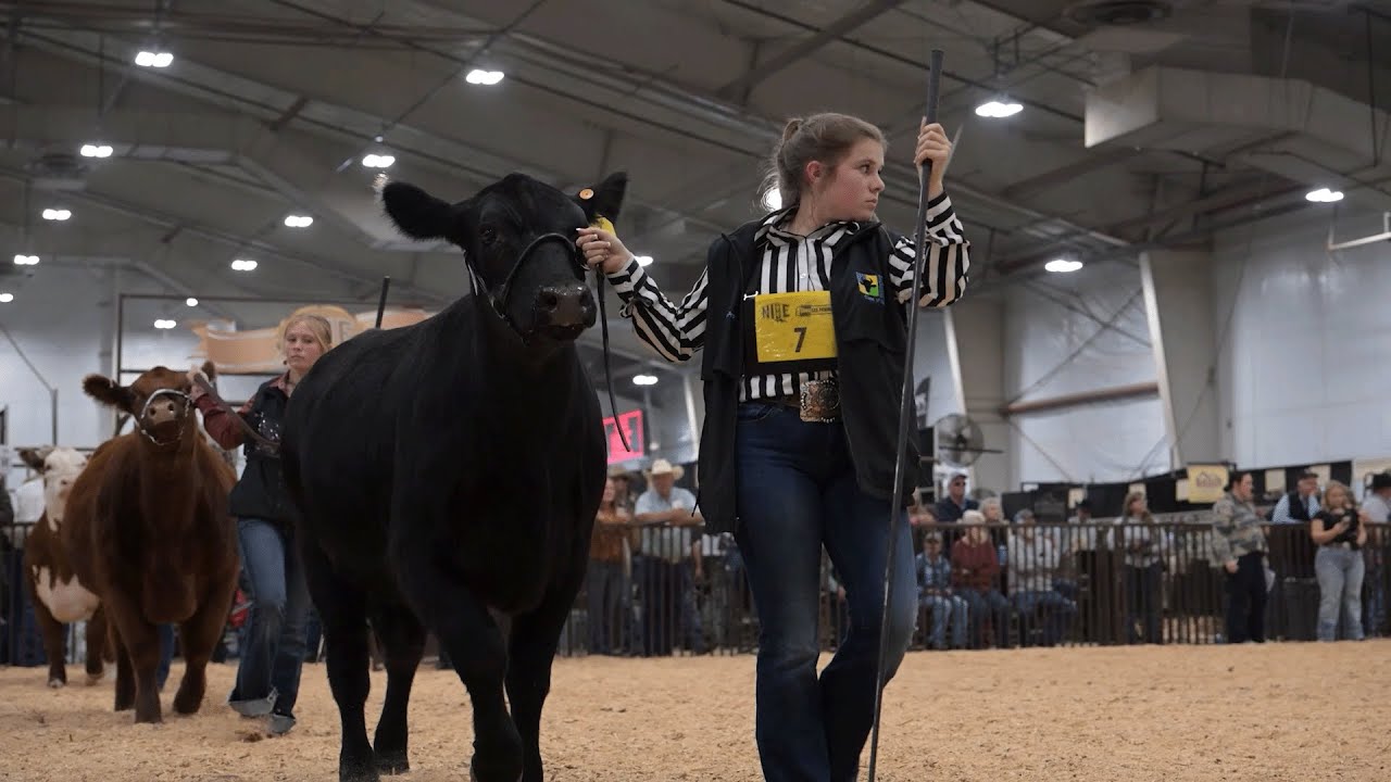 NILE Merit Heifer Program Legacy Continues - YouTube