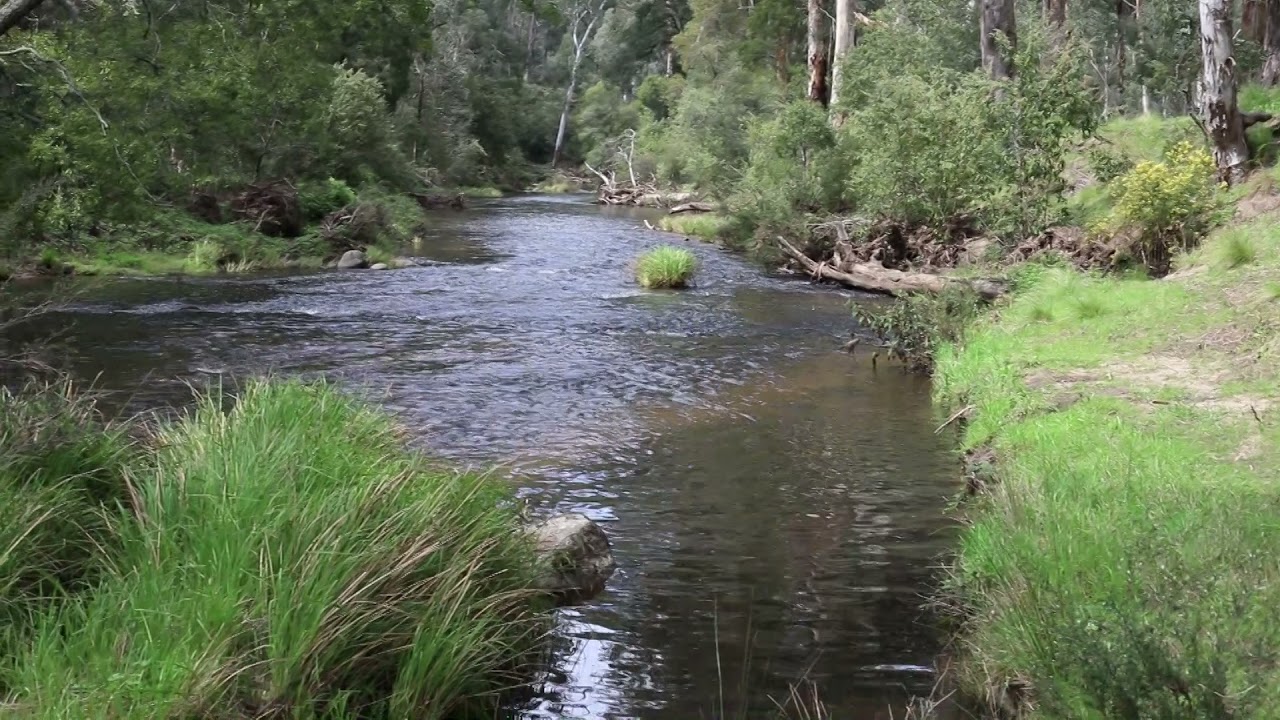 Timburra River Camps Buchan Vic - YouTube