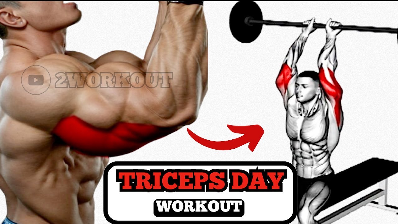 Week 6 Day 4 | Ultimate Triceps Pump Power Your Arms - 2WORKOUT - YouTube