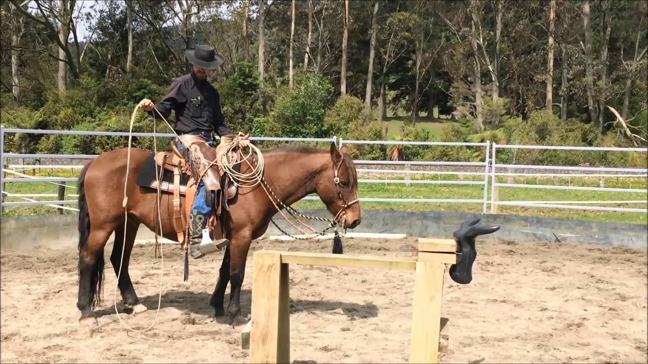 Ranch Roping - Building a Loop & Overhand Swing - YouTube