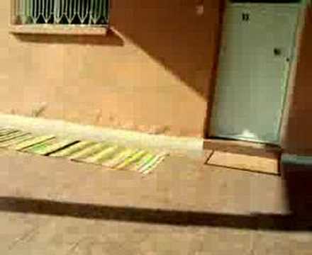 tecirli köyü nden bir kesit