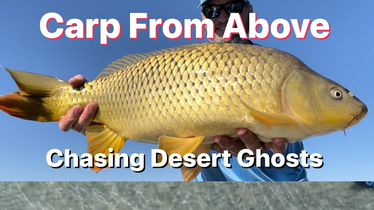Chasing Desert Ghosts - Carp Fly Fishing - YouTube