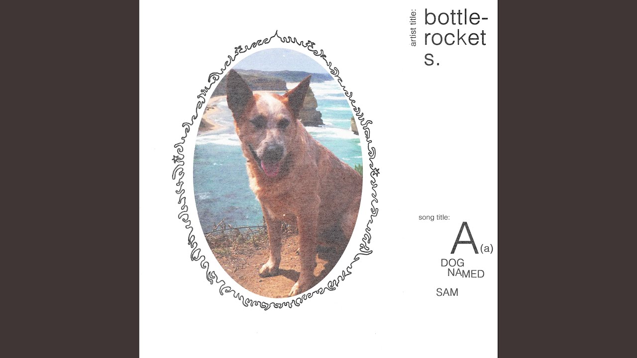 A Dog Named Sam - YouTube