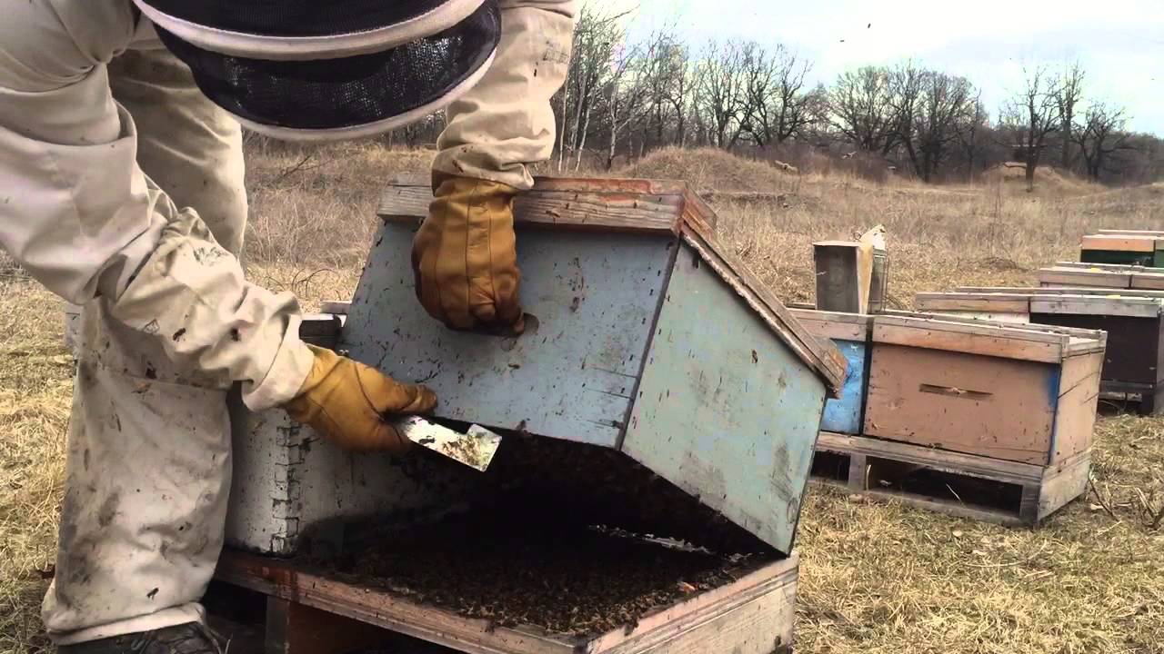 Hefting hives, checking weight and assessing strength - YouTube