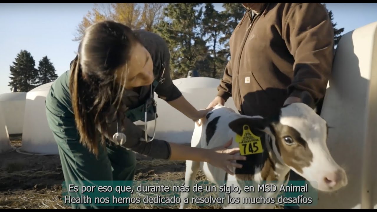 MSD Animal Health: compromiso con la ciencia de los animales más sanos ...