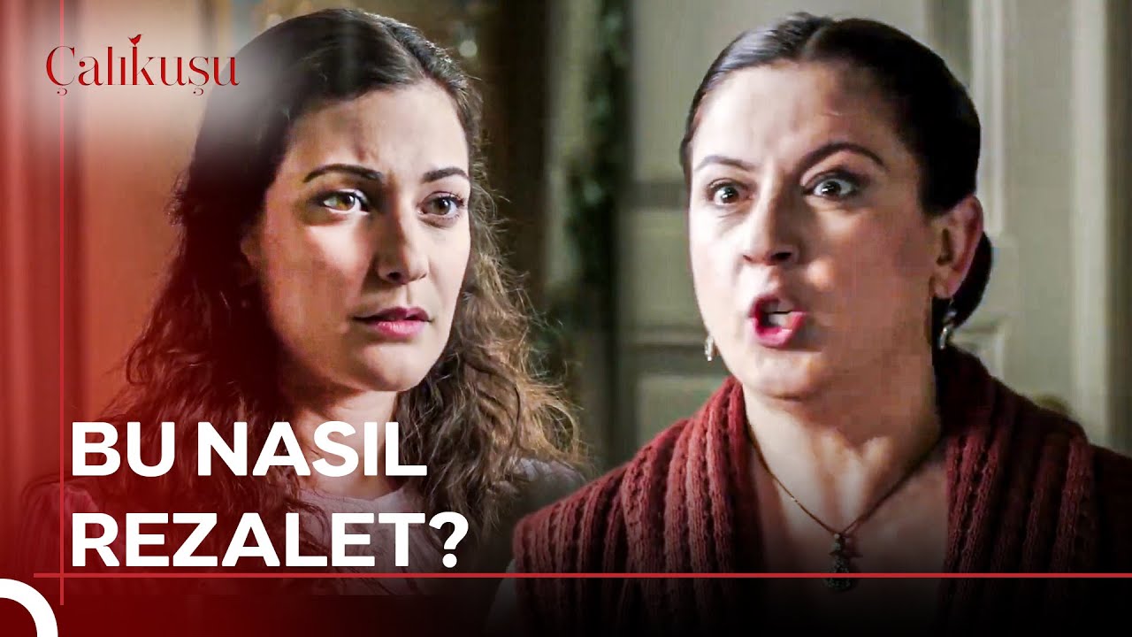 Feride ve Kamran Kendi Nişanına Katılmadılar | Çalıkuşu 15. Bölüm - YouTube