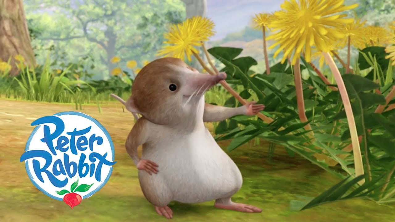@OfficialPeterRabbit - The Shrew's Dandelions 🌼 | Cartoons for Kids ...