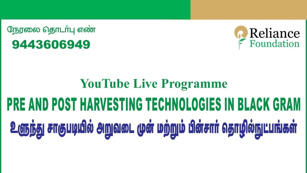 Pre and Post Harvesting Technologies in Black Gram / Date: 09-01-2025 ...