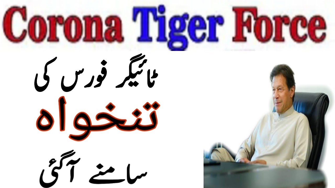 Tiger Force Salary information/Tiger Force New Update Today/Tiger Force ...