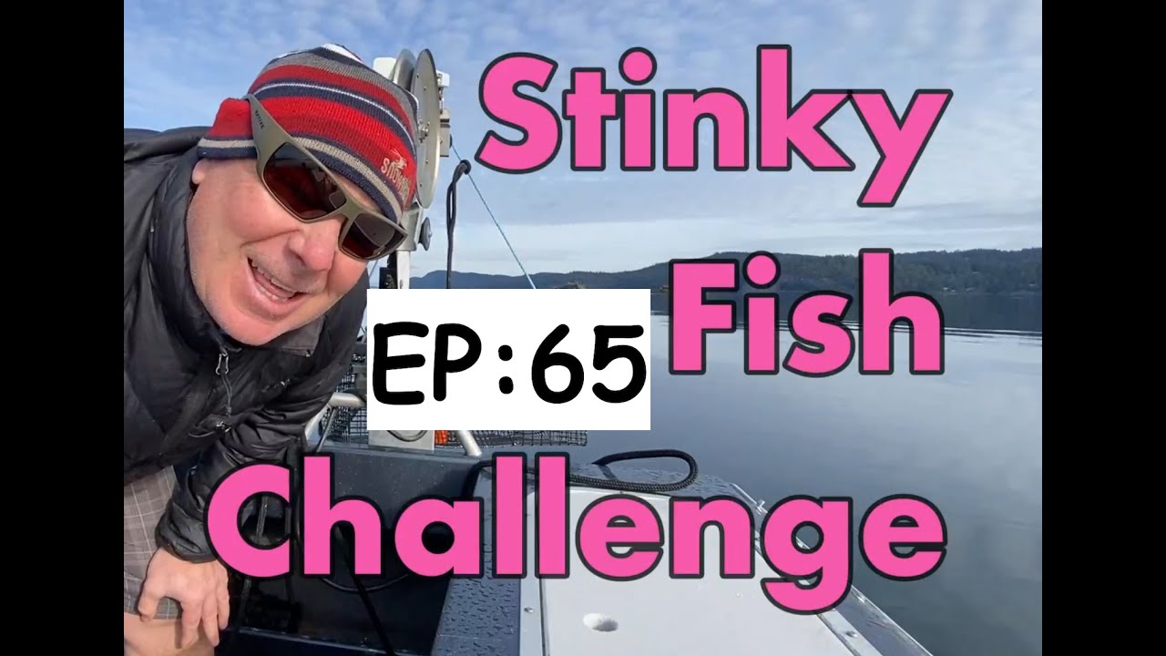 STINKY FISH CHALLENG Ep 65. I found last years stinky fish and leaving ...