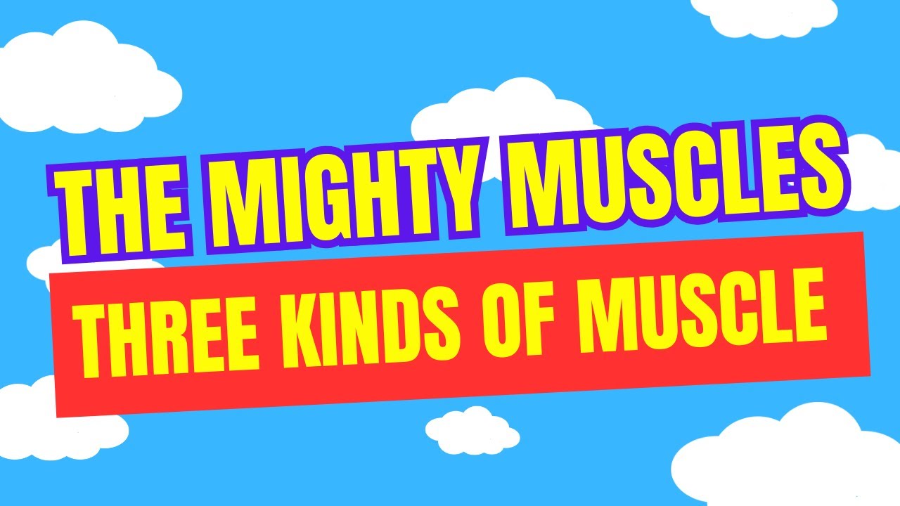 3. The Mighty Muscles: A Kid's Guide to the Body's Powerhouses- Three ...