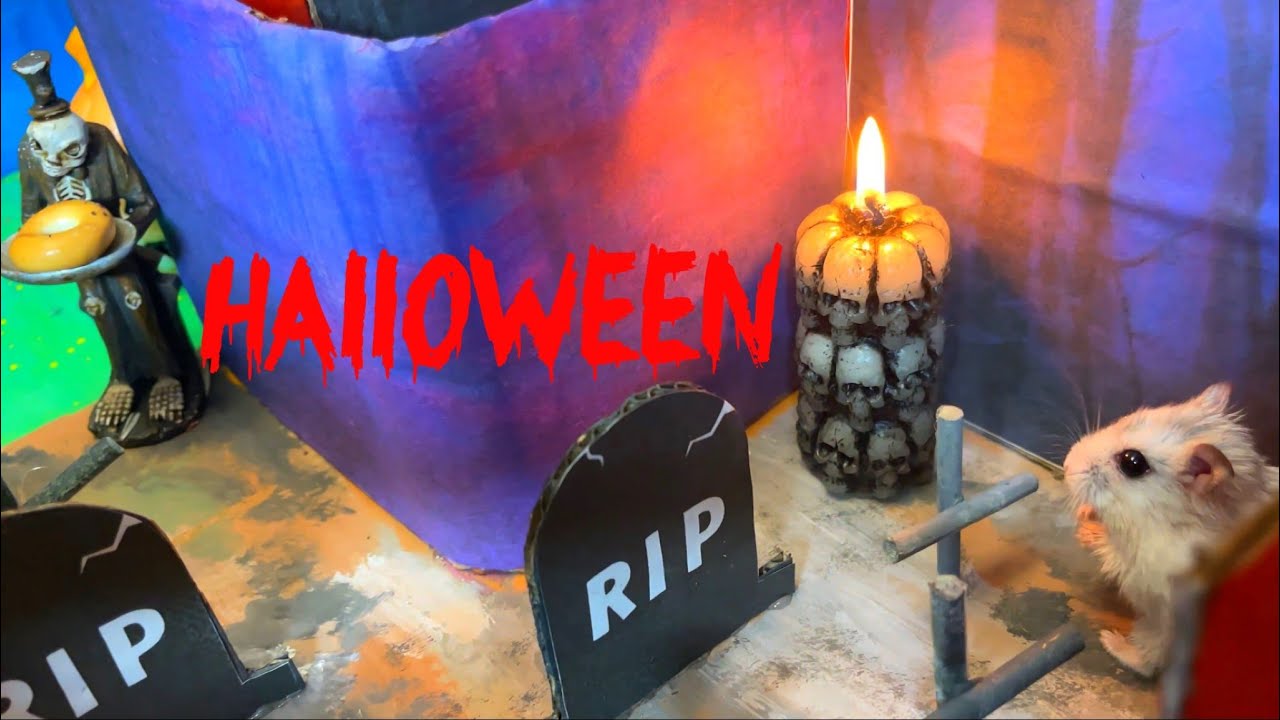 HAMSTER HALLOWEEN | SCARY DREAM - YouTube