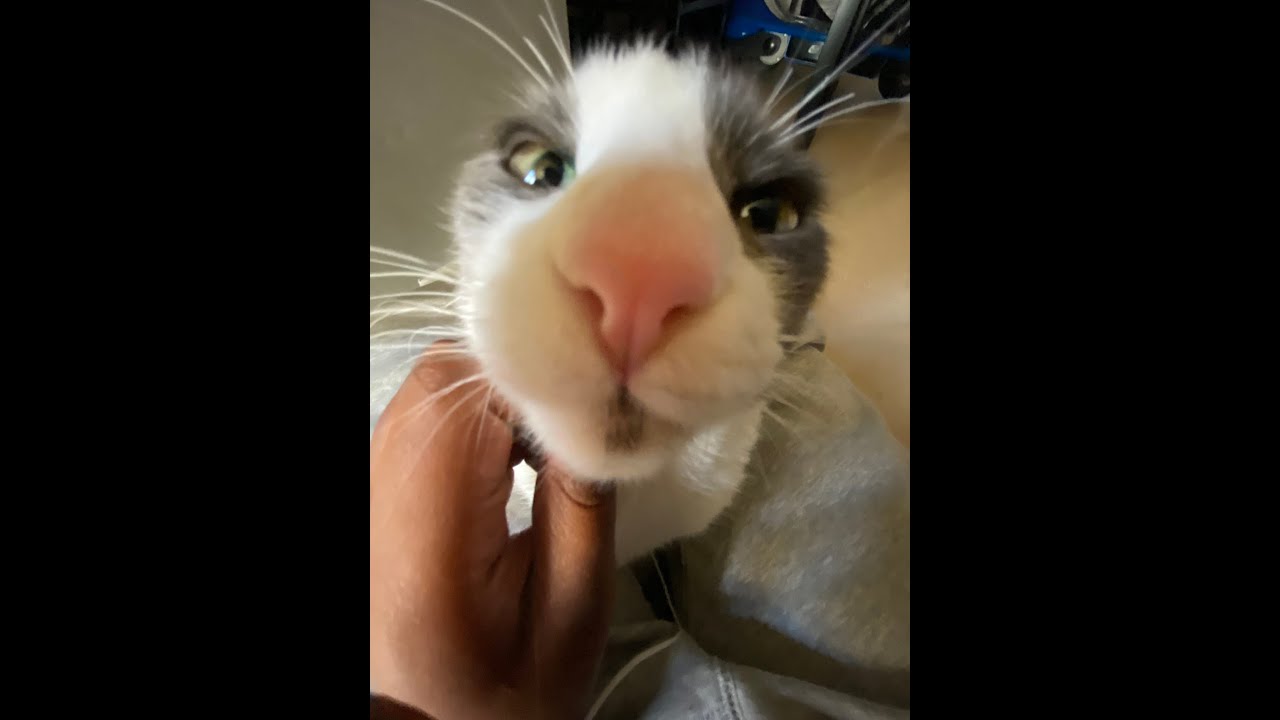 [ILL TOP 1] Formosa 3% [WR] - YouTube