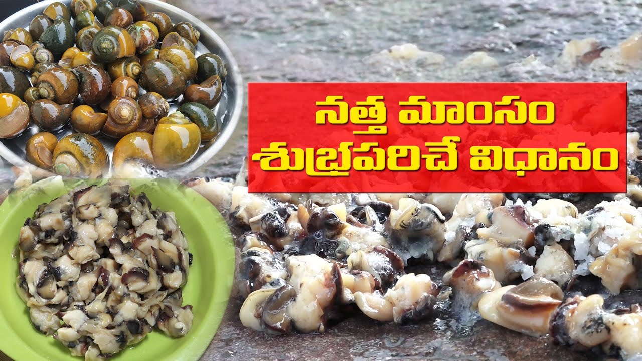 నత్త మాంసం శుభ్రపరిచే విధానం # How To Clean Snails # Nathalu # నత్తలు ...