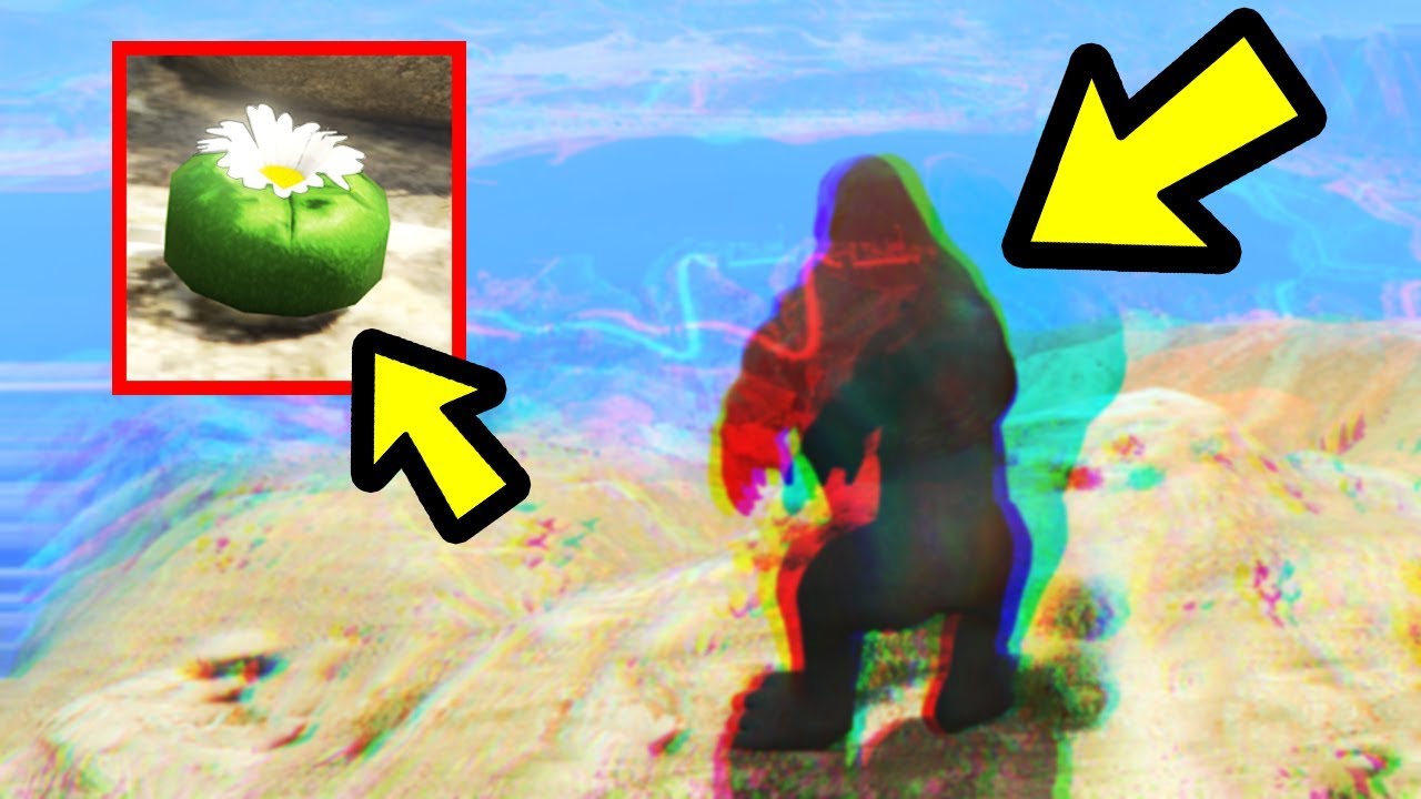 GTA 5 - This Easter Egg is HUGE!! (Peyote Plant Secret) - YouTube