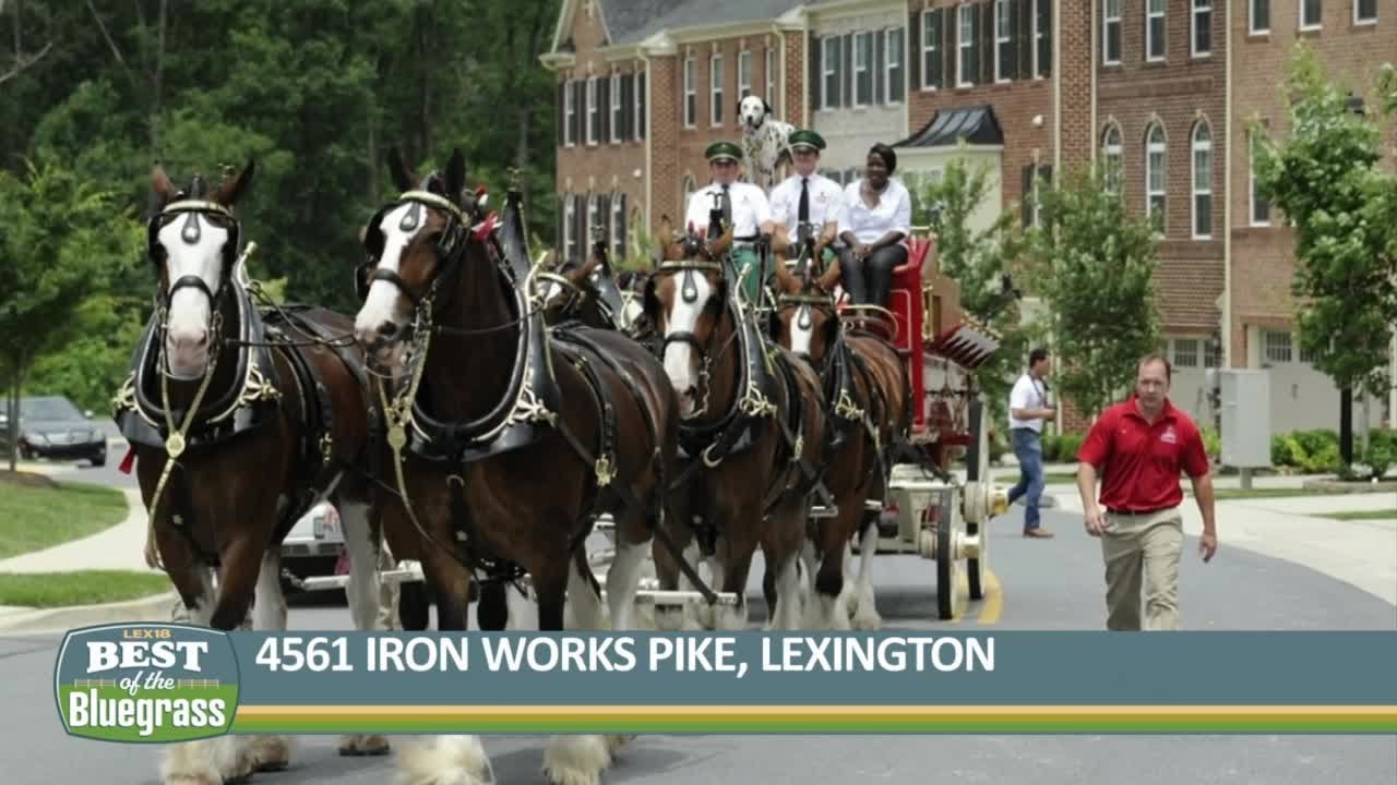 Stockyards Beef BBQ Festival kicks off this weekend - YouTube