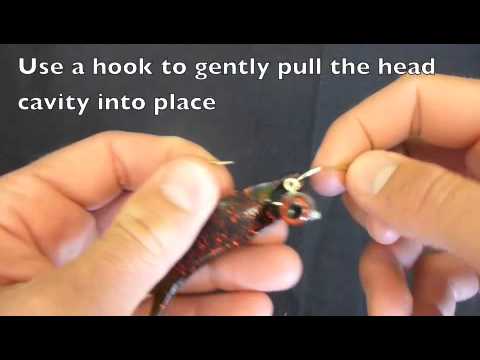 DOA Lures: Rigging the DOA Terroreyz - YouTube