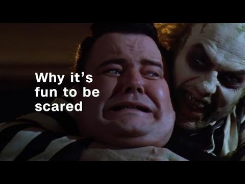 Why we love being scared: The science of fear - YouTube