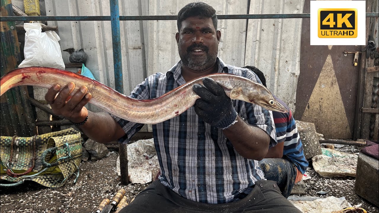 Kadal ara/Kerai fish cutting video/Fishcuttingrs #fishcuttingrs # ...