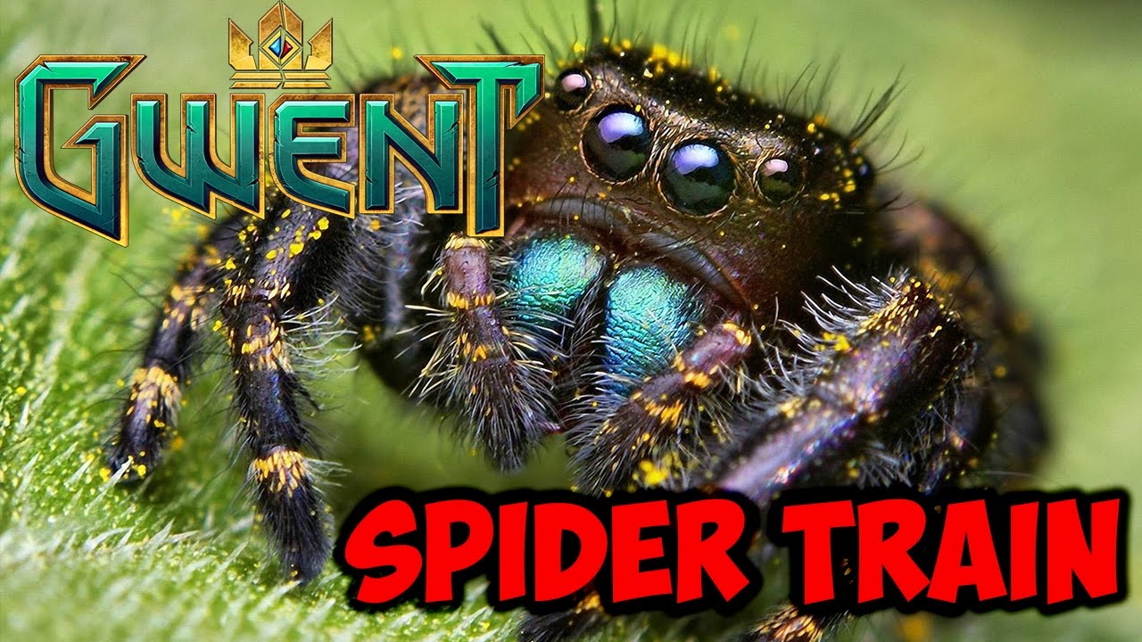 Gwent Spider Train ~ Nightmares ~ The Witcher Card Game Ranked Rank 15 ...