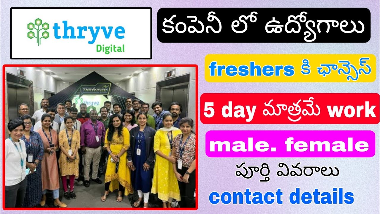thryve digital company recruitment for freshers full information with ...