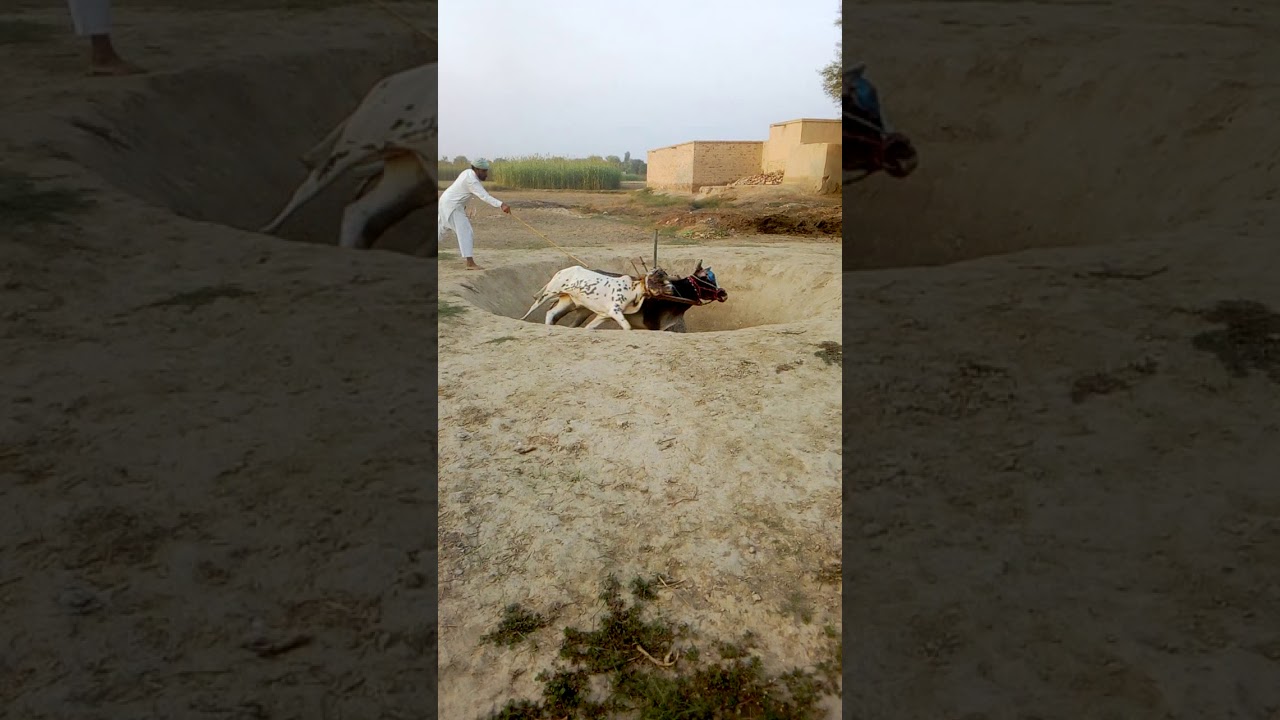 Best Jalsa Dand 2020 in Burewala - YouTube