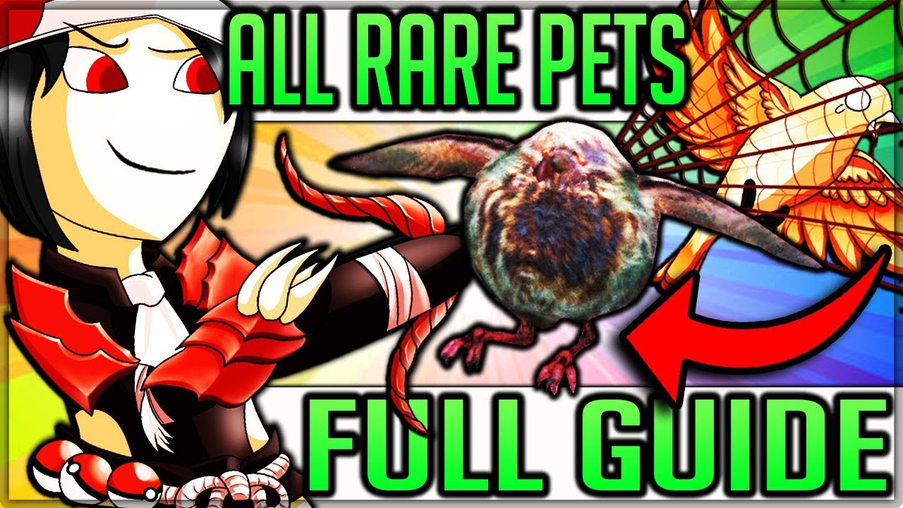 Top 5 Rare Pets in Monster Hunter World - BEST THING IN GAME! (ALL ...