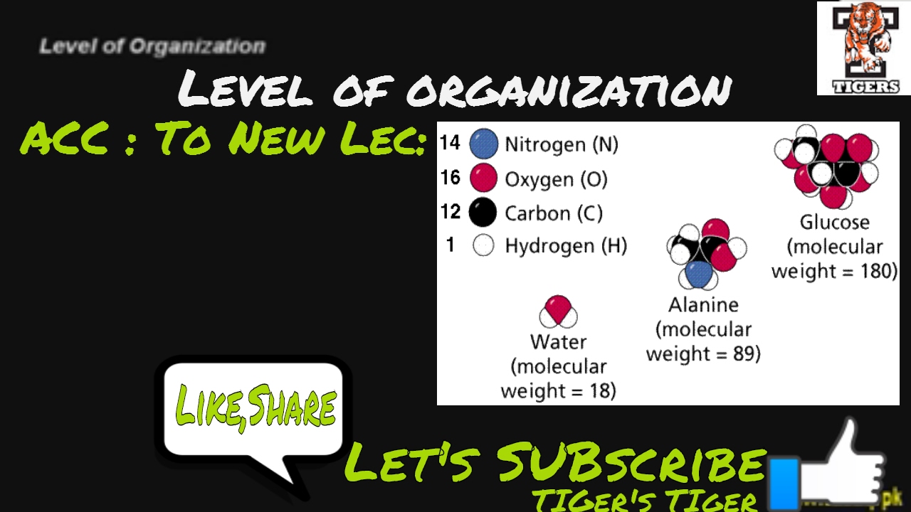 Subatomic and Atomic Level, Molecular Level Class 11 | Biology ...