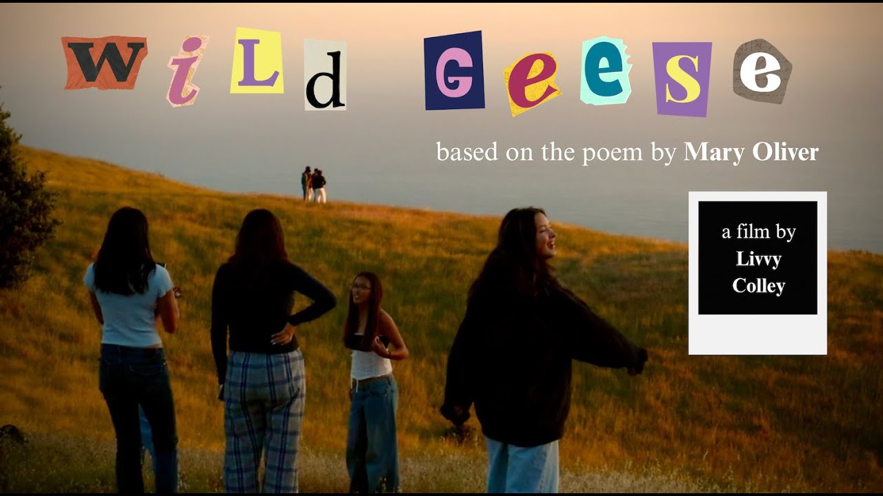 Wild Geese || A Short Film by Livvy Colley - YouTube