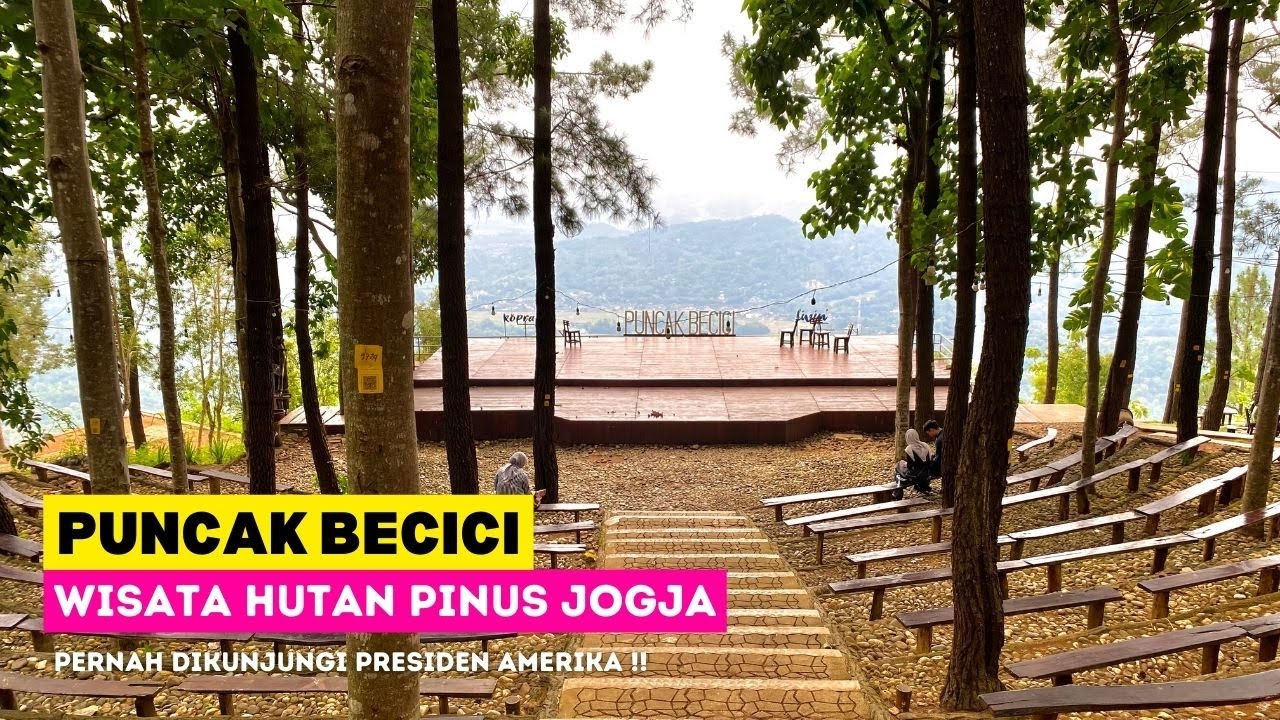 PUNCAK BECICI : WISATA ALAM HUTAN PINUS YANG ASRI & DAMAI - Wisata ...
