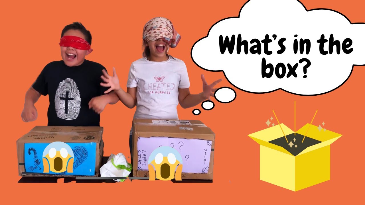 What's in the Mystery Box Challenge? - YouTube