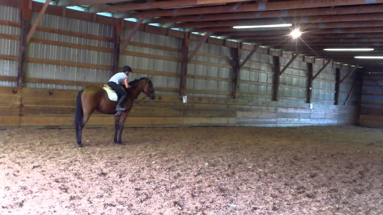 Horse starting, breaking. First ride. Natural Horsemanship - YouTube