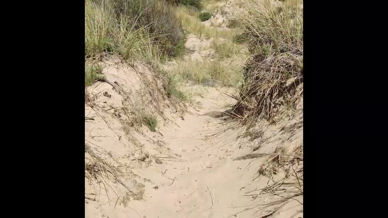 California Central Coast | Sand Dunes | Oceano | Grover Beach - YouTube