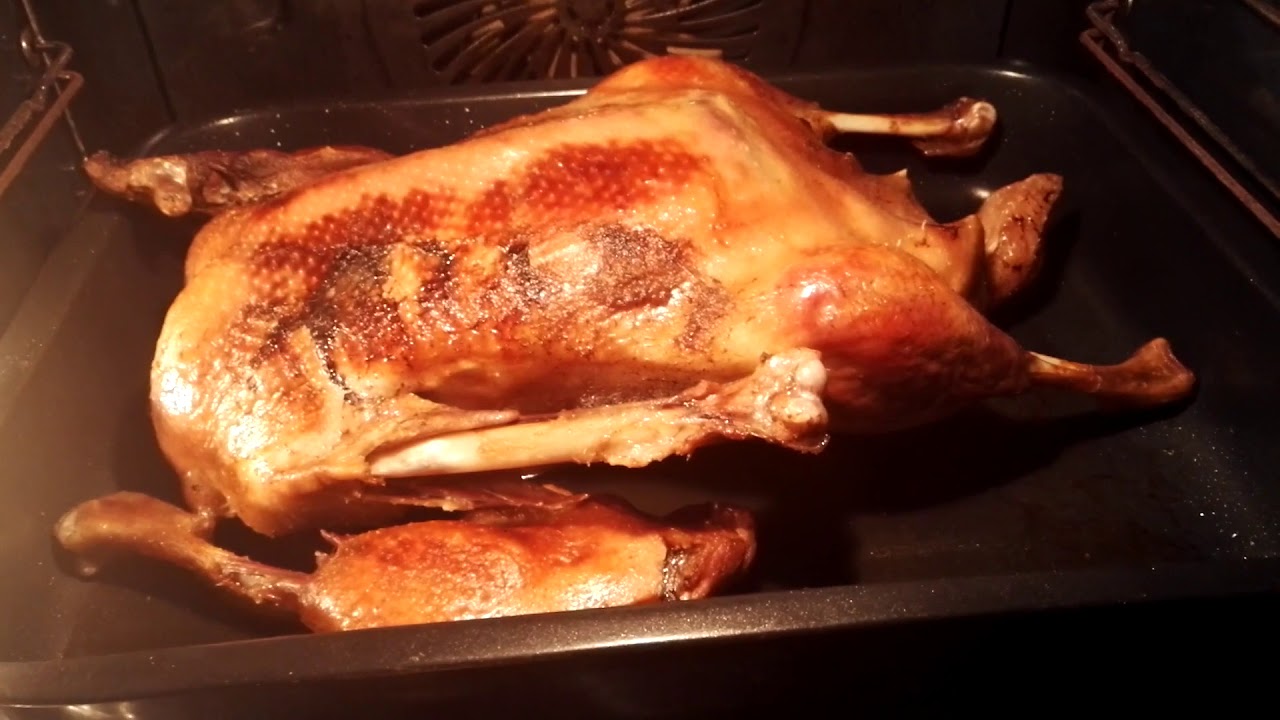 Die Gans ganz einfach, ganz gut und ganz lecker - gelingt immer - YouTube