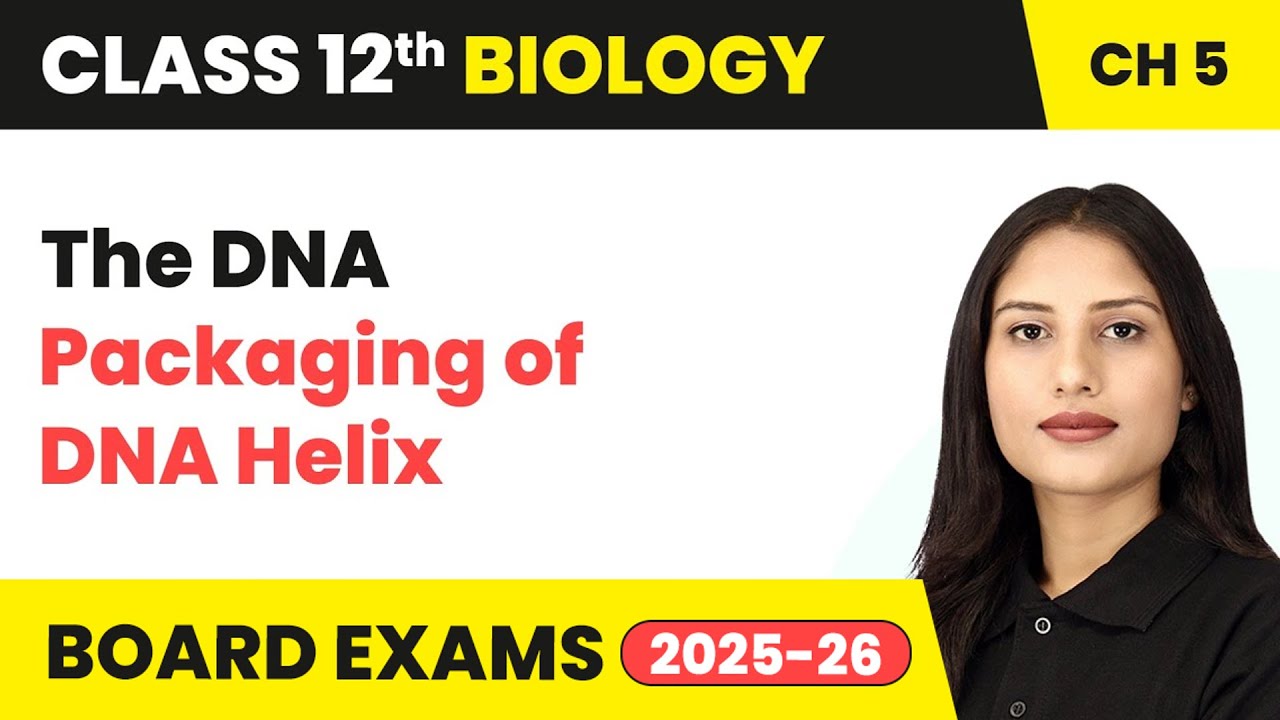 The DNA - Packaging of DNA Helix | Class 12 Biology Chapter 5 | CBSE ...