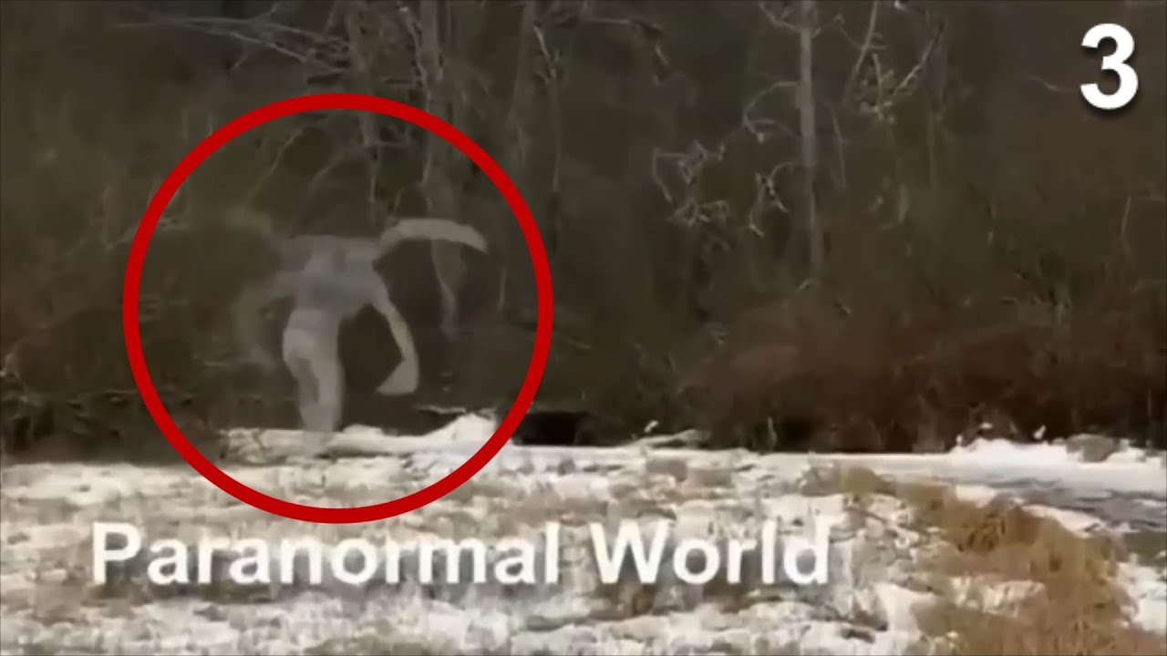 5 Time Monster seen in the Forest Caught on Camera - Paranormal TOP 5 ...