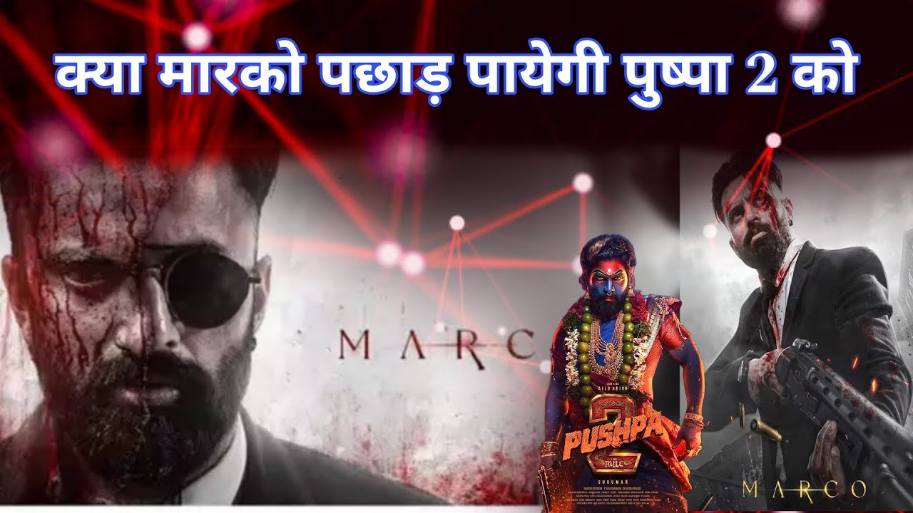 Marco Box Office Collection Day 19, marco total worldwide collection ...