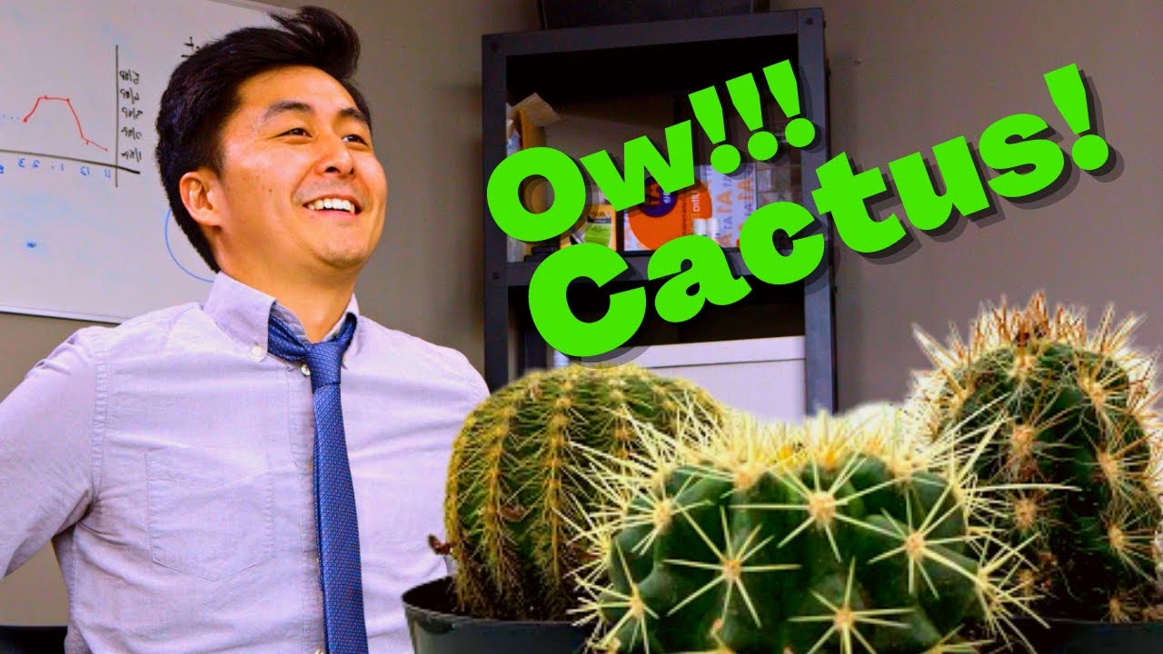Every Time I Sit Down, I Sit on a Cactus - YouTube