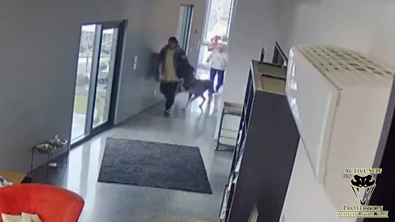 Surveillance System Does Not Equal A Security System - YouTube