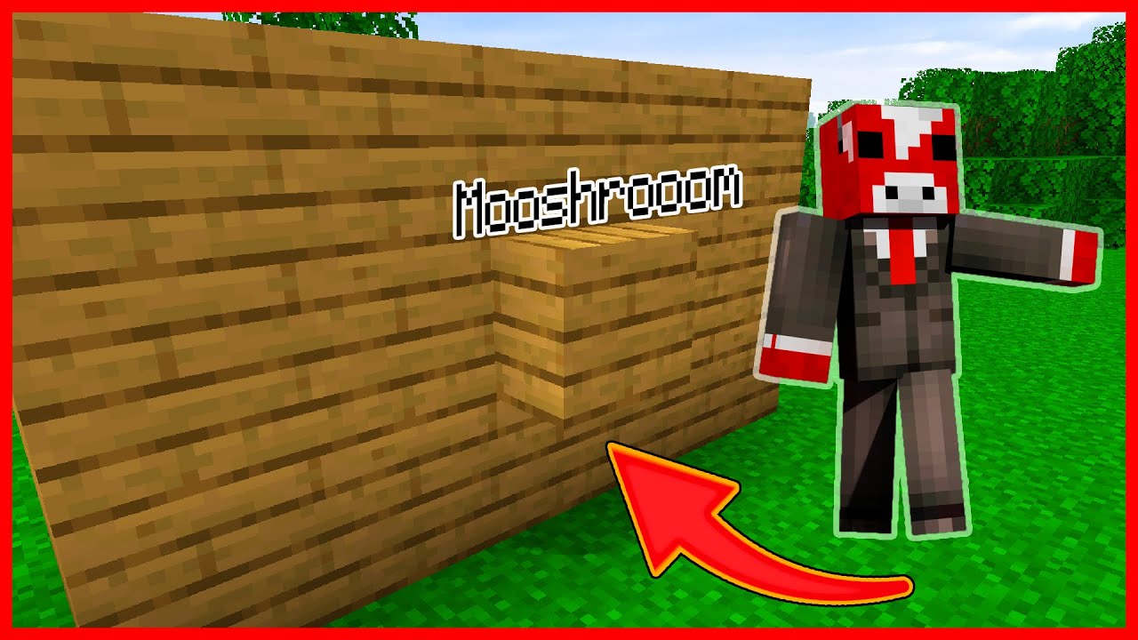 How to Become ANY BLOCK in Minecraft | No mods, No addons - YouTube