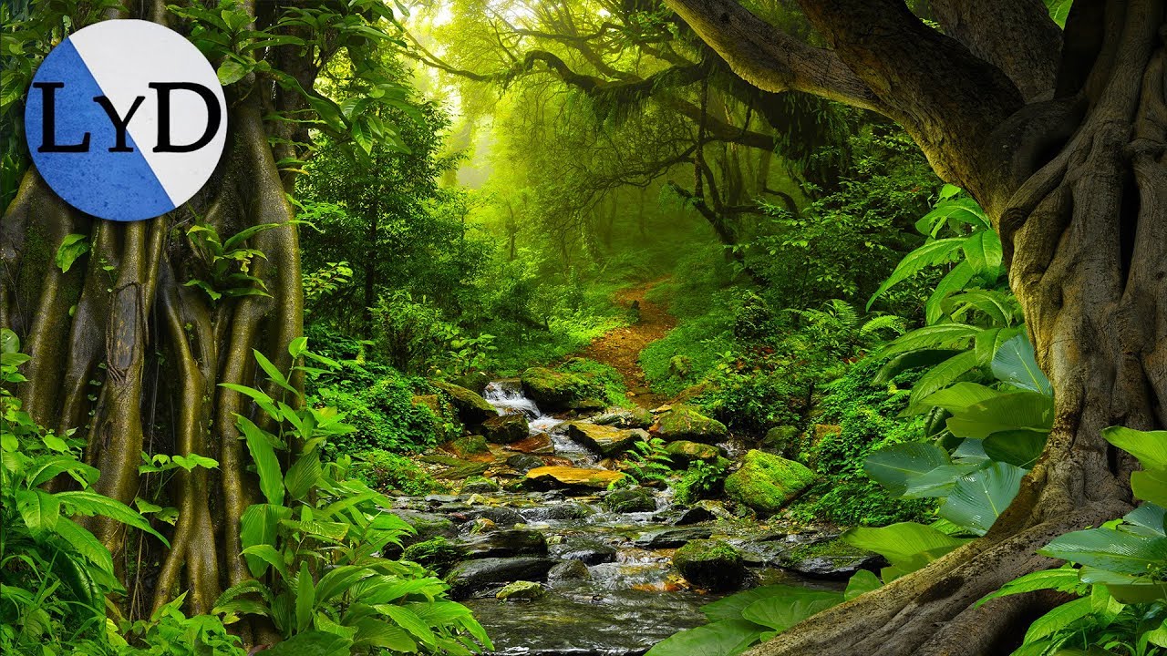 Música Relajante para Meditar | Música de Relajación y Meditación ...