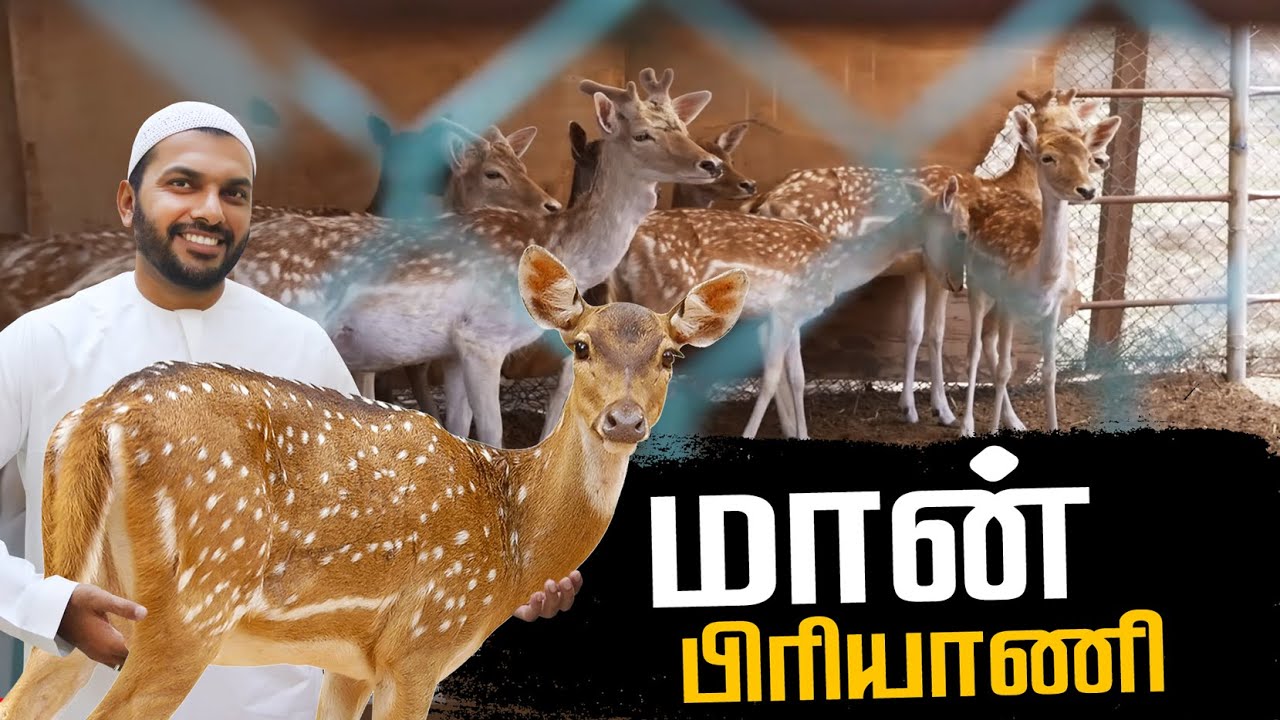 DUBAI Deer Biriyani || மான் கறி பிரியாணி || venison biriyani recipe ...