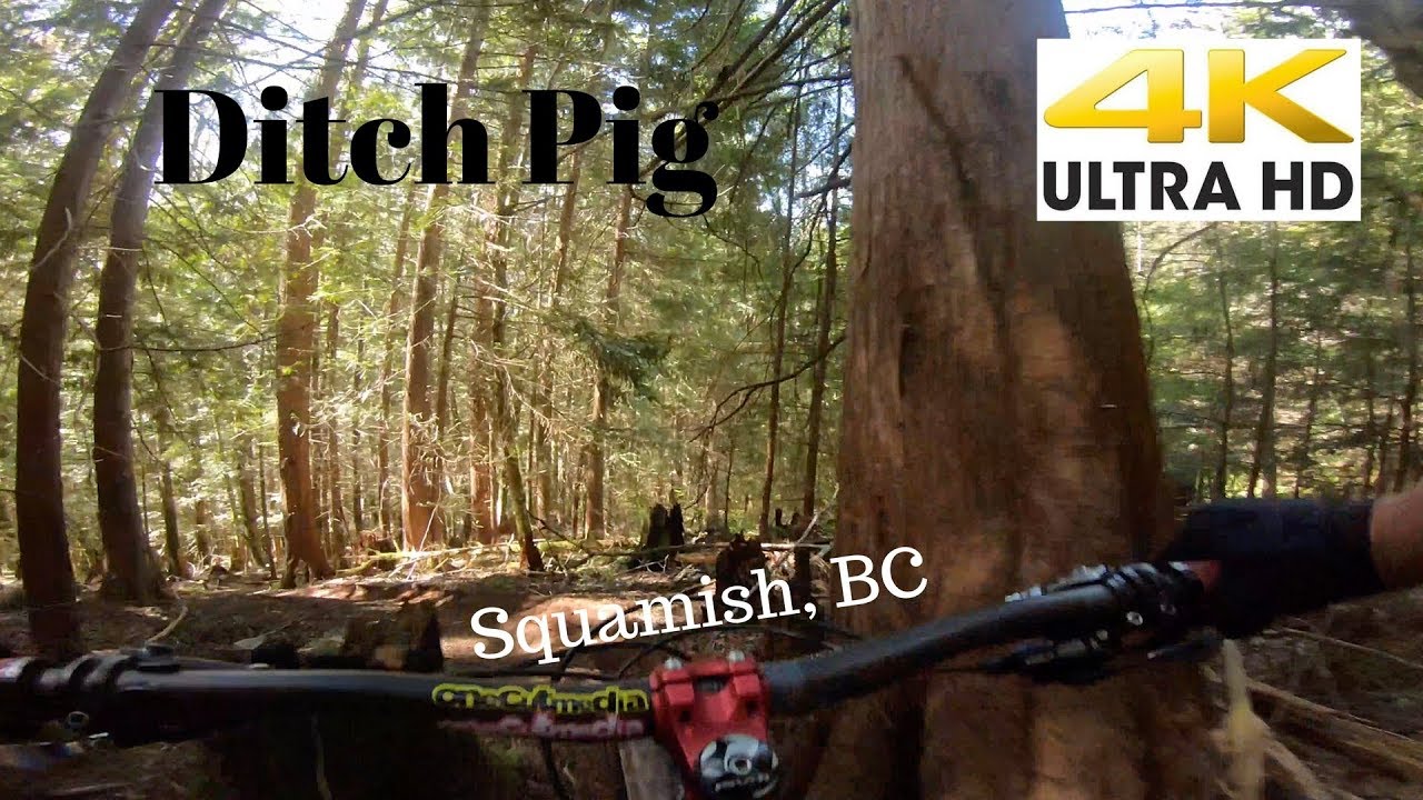 Ditch Pig / Loam Pig / Ditch Pig in 4K in Squamish BC - YouTube