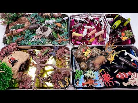 4 Dioramen mit Wackelpudding | Ozeanwelt, Dinosaurierwelt, Bauernhofwelt, Safariwelt mit Tieren
