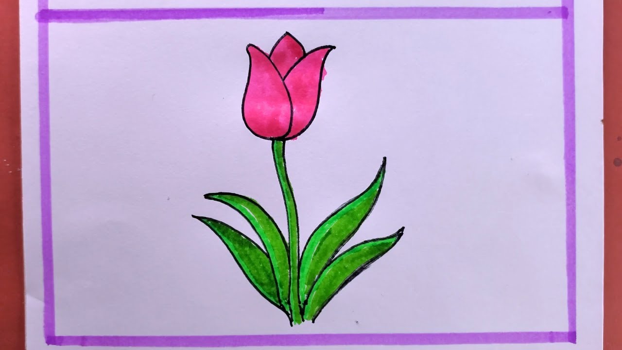 How To Draw A Tulip/Tulip Drawing easy - YouTube