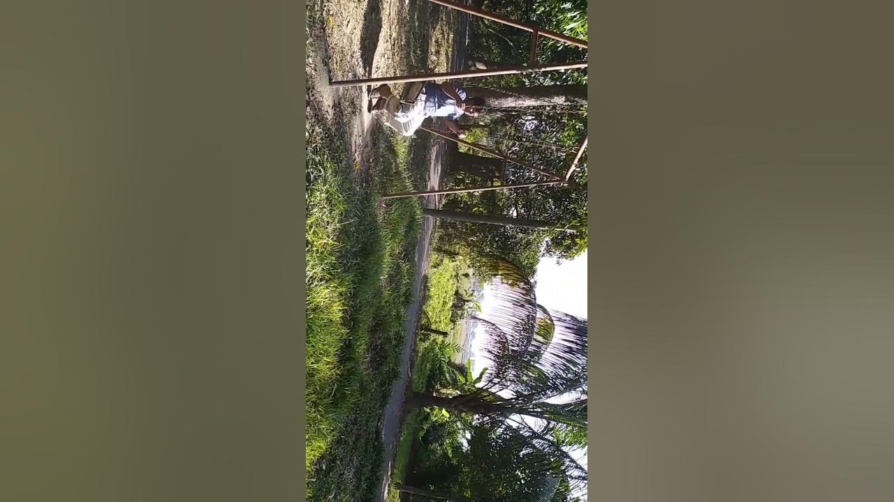 Swing Away Youtube