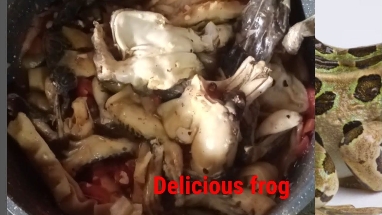 How to cook frog / preparing frog in Nagastyle - YouTube